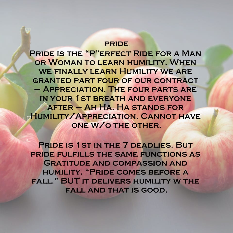 Pride is the Perfect Ride — Reflections of a life in Parity - Lane ...