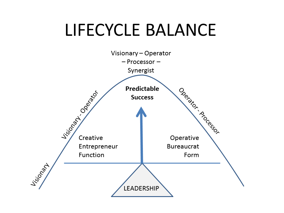 Leadership Balancing Act. I like to study lifecycles. Lifecycles… | by ...
