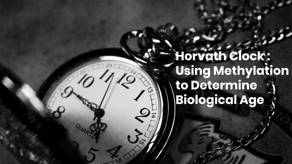 Examining the Horvath Clock and the Statistical Method Behind it | by ...