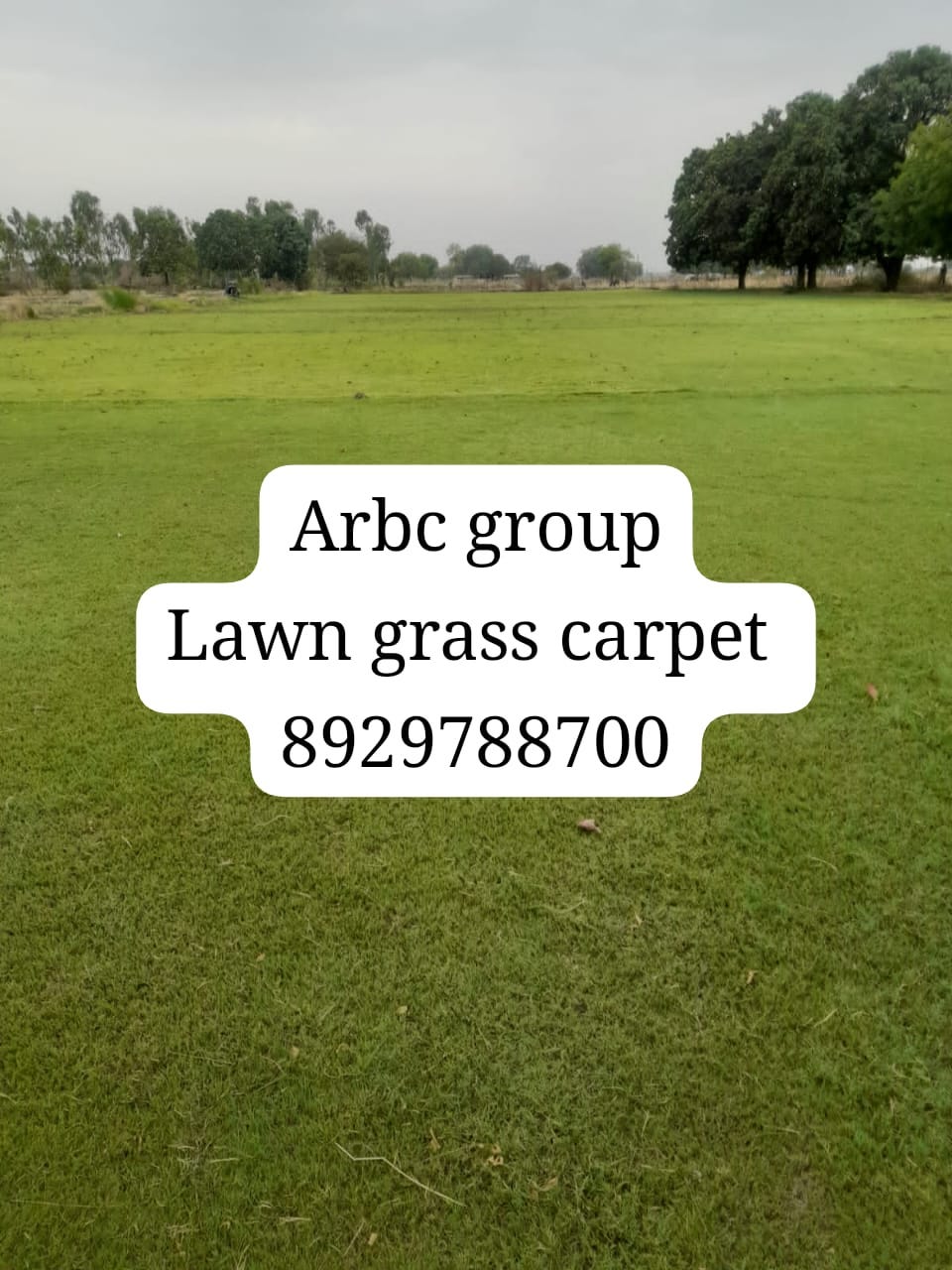 Lawn grass carpet supplier in Indore MP naturalgreengarden.com - Arbc ...