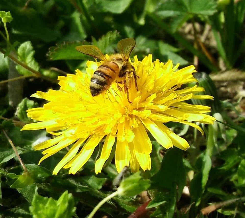 Come trovare i migliori prodotti friulani bio | by Prodotti tipici ...