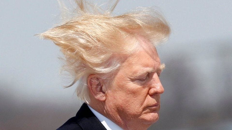 Why Trump’s Hair Is The Best Measure Of His Electability | by Allan ...