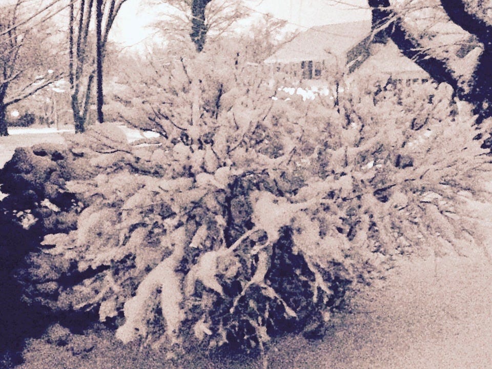 My Top 10 Reasons for Loving Winter 1. | by Lin Flores | Medium