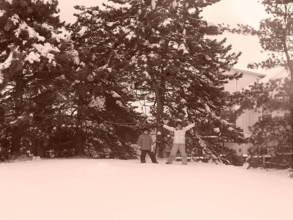 Little Brother. Sam and I have been at this love-hate… | by Nikolle ...