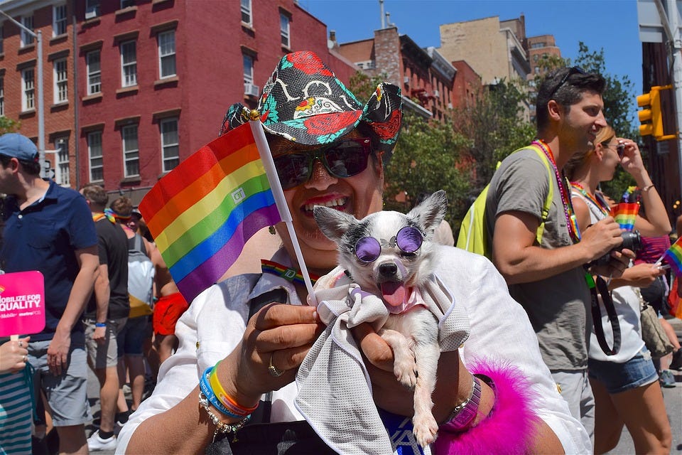 What do the colors on the Rainbow flag mean? Your guide to know it all ...