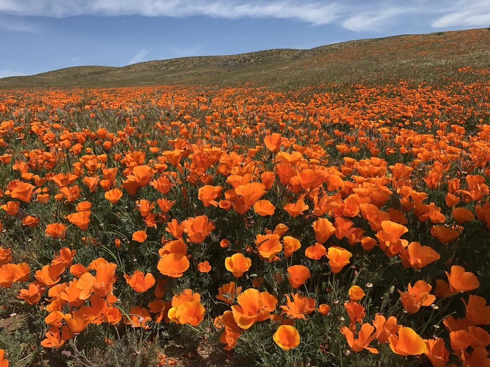 OpenPaaS Newsletter 3 - May 2017. April and begining of May have been ...