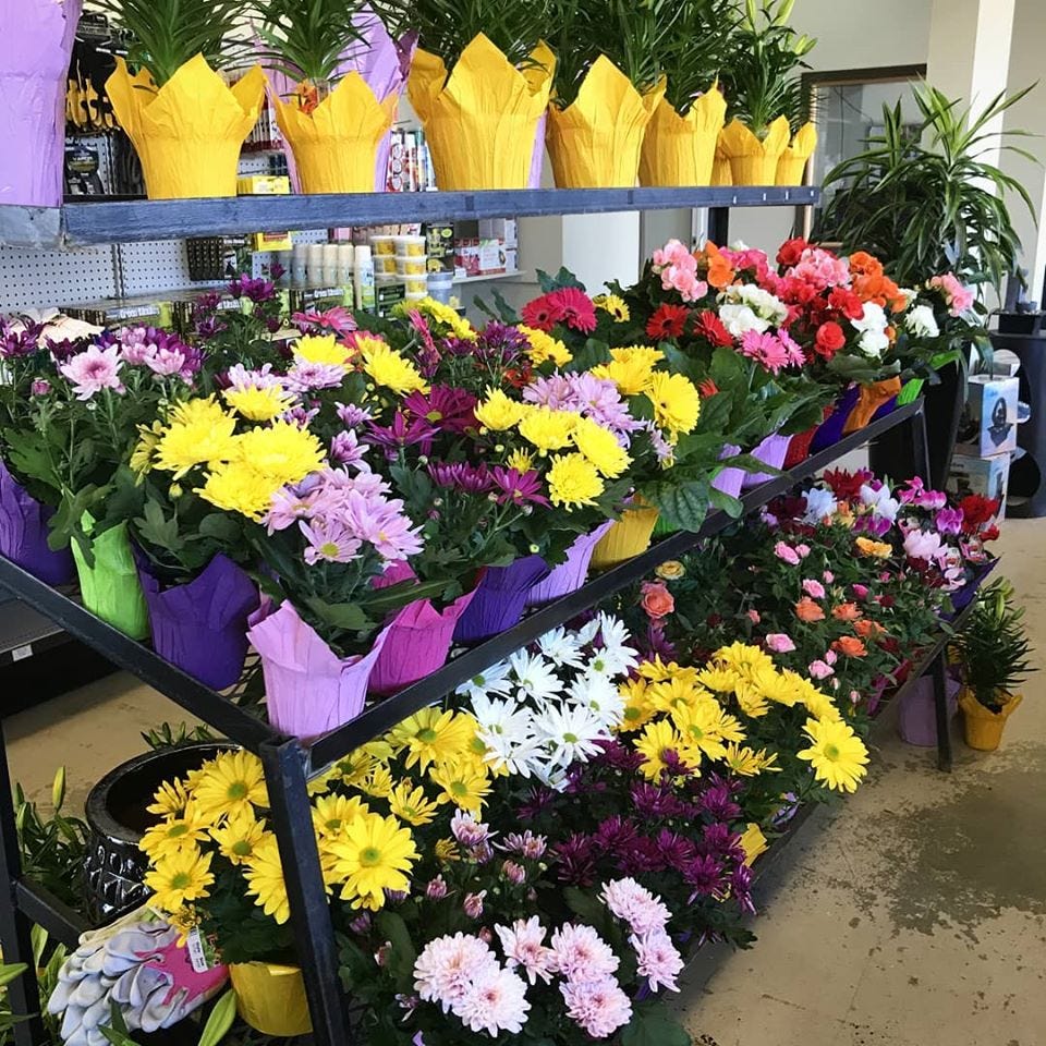 Lyons Retail transitions to pickup & delivery | by Lyons - Everything ...