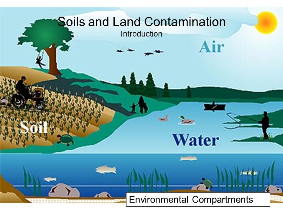 Why Pollution Matters. I’ve decided to make this blog post a… | by ...