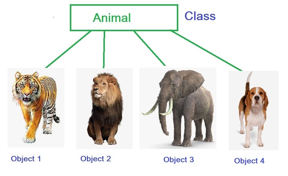 Basic concept of object oriented programming(OOP) | by Filmon ...
