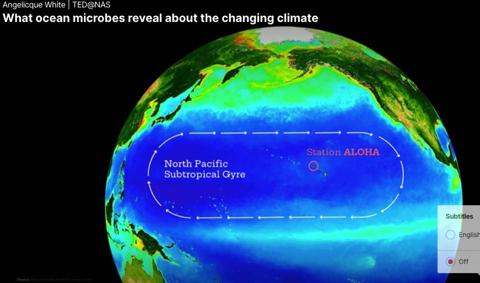 TED@NA: Angelicque White. An Ocean Biologist shares what ocean… | by ...