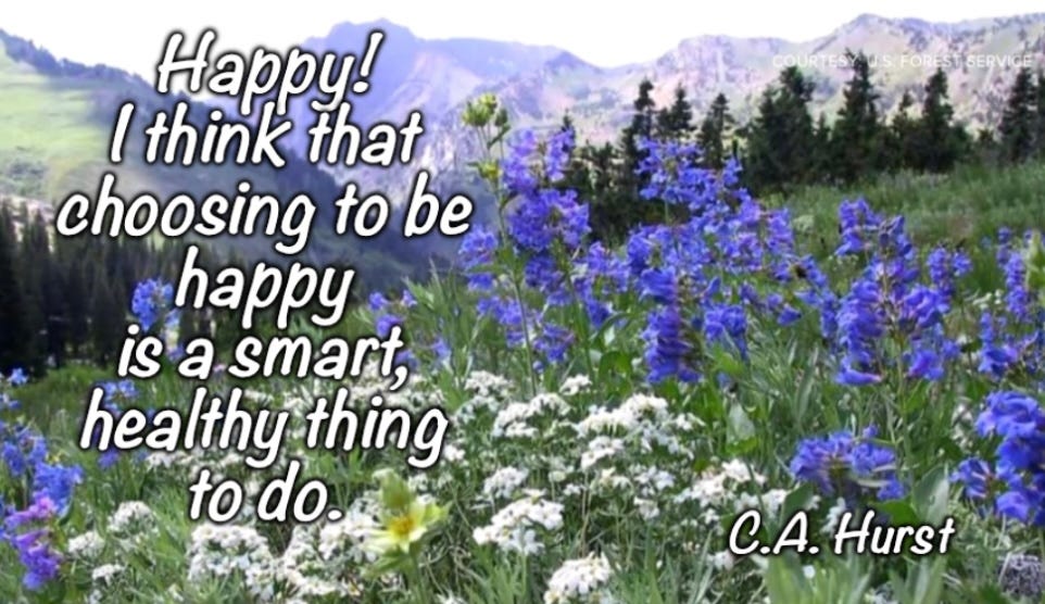 Happy! - C. A. Hurst - Medium