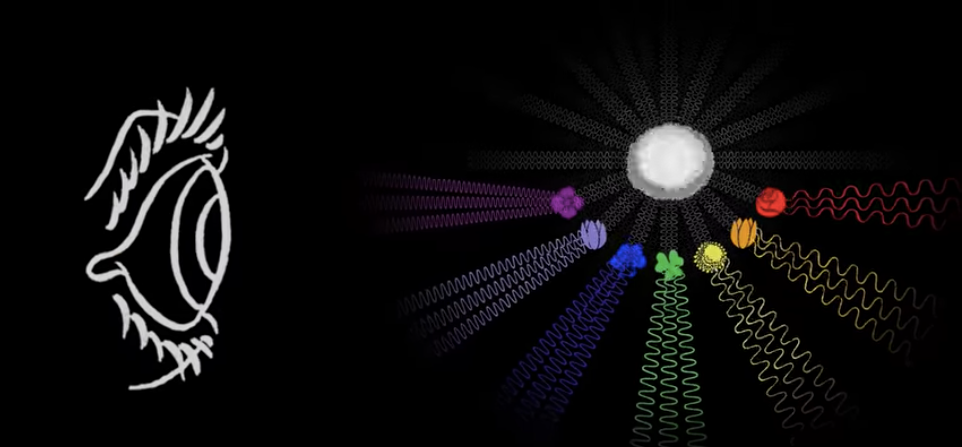 All About Colors!. To get an Understanding of how humans… | by Jigme ...