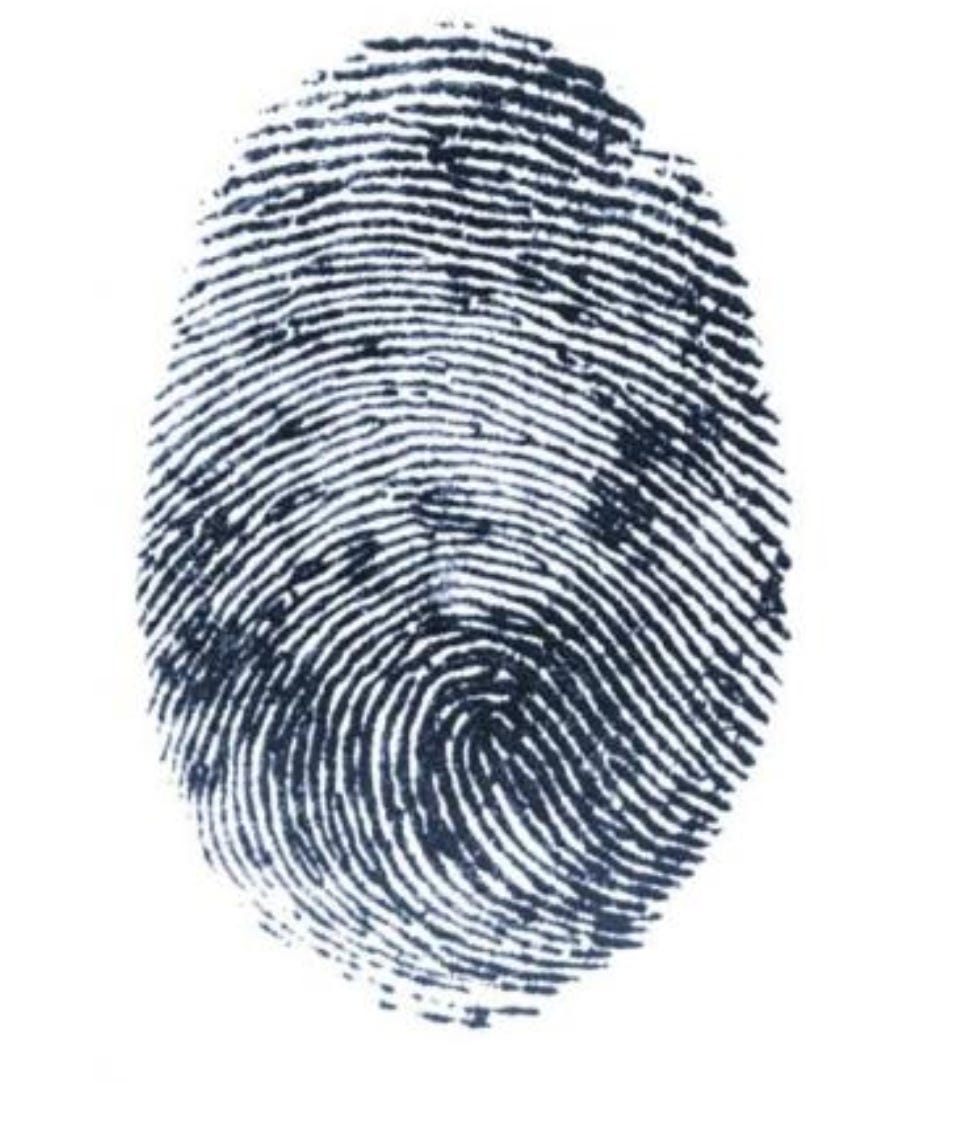 Focaltech fingerprint