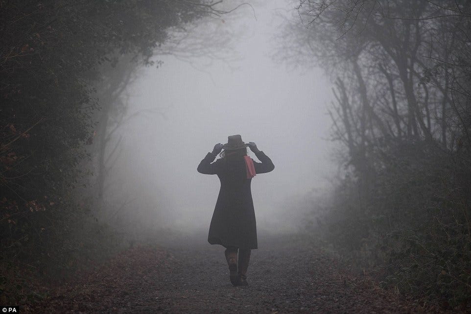 In the fog: mysticism of nature. The story is real. We lived in a small ...
