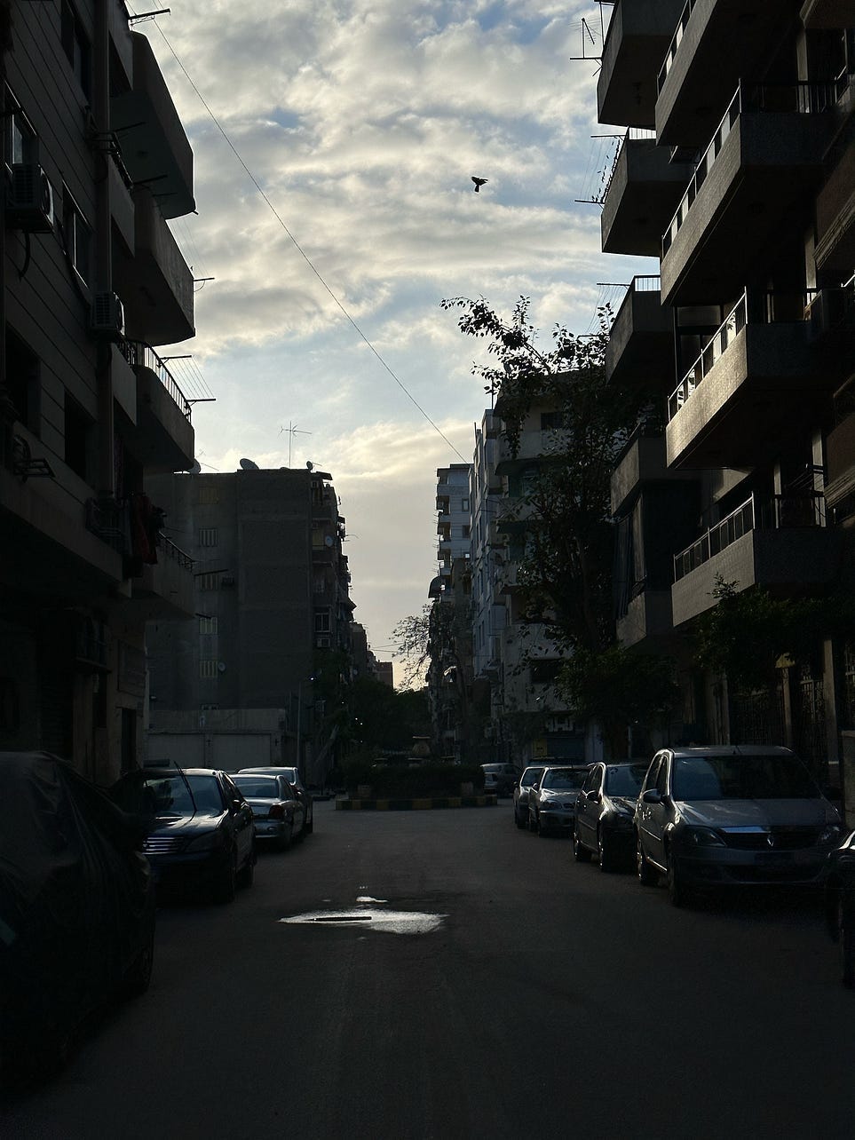 Finding the spark in the dark alley | by Jonathan Nassif | ILLUMINATION ...