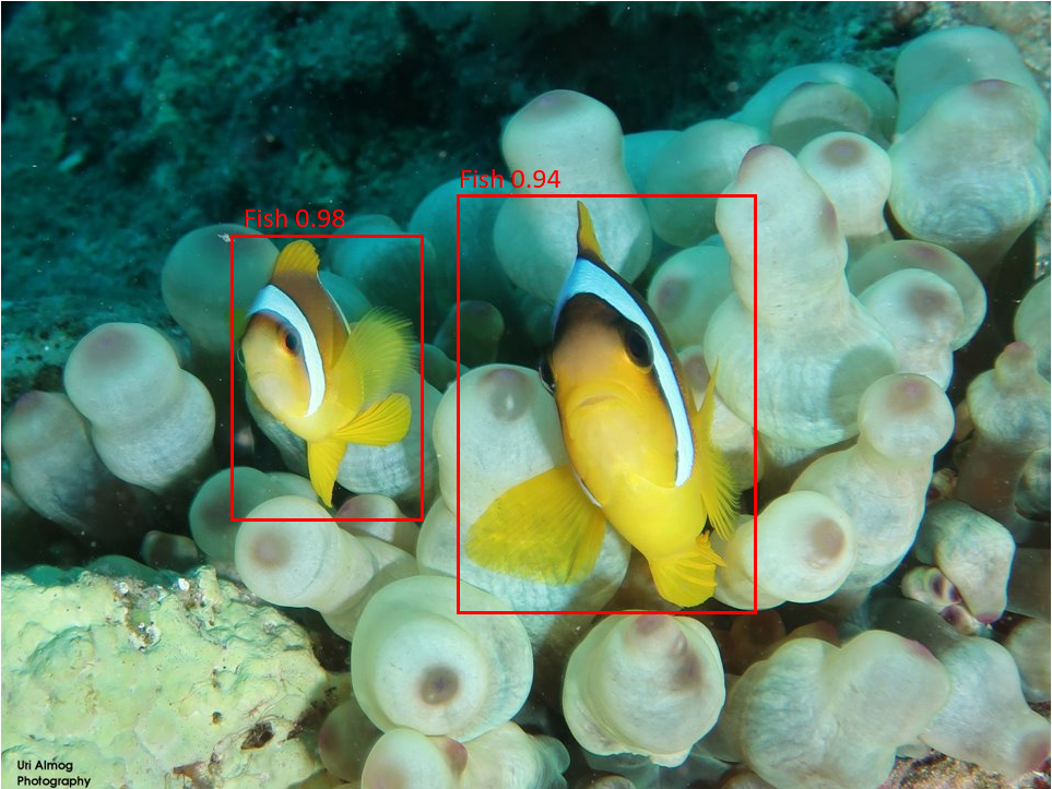 Object Detection With Deep Learning: RCNN, Anchors, Non-Maximum ...