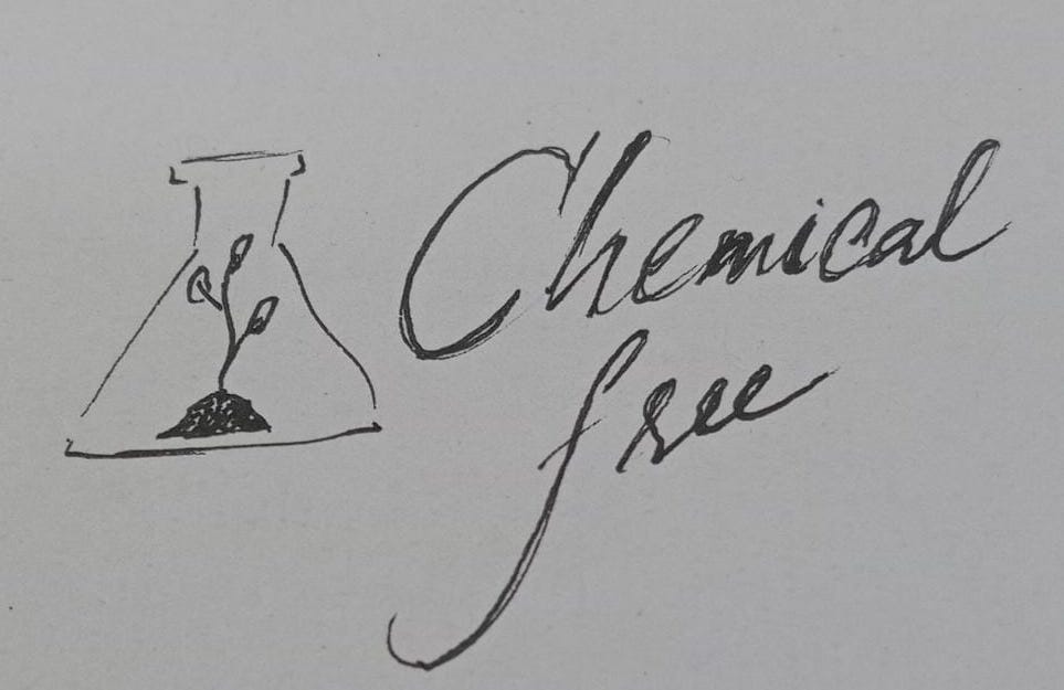 Eco writer, Nature Connection, Chemical Free Lifestyle, Eco-conscious ...