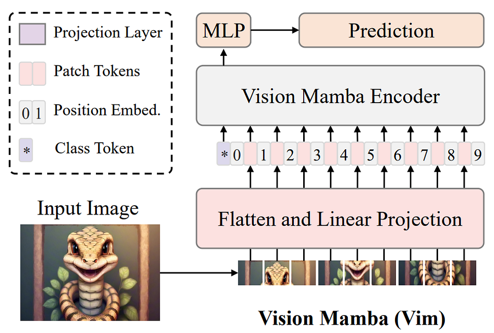Vision Mamba: The Next Leap in Visual Representation Learning
