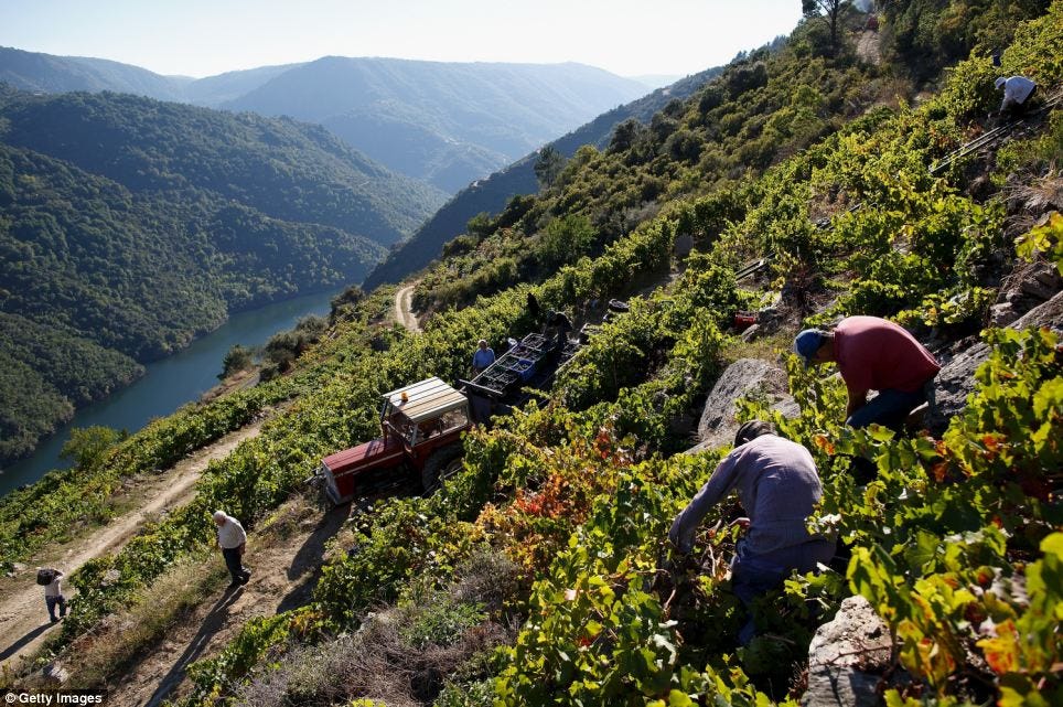 Thoughts on: Spanish Wine in 2017 | by Fintan Kerr | Medium