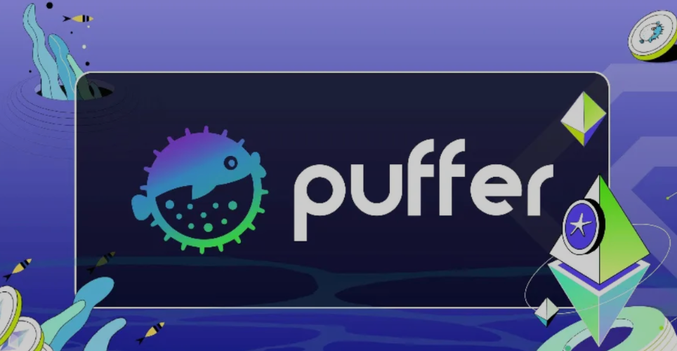 How to Claim Puffer Airdrop: Guide for 2024 | Medium