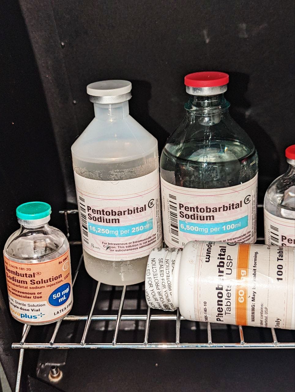 Pentobarbital sodique en vente libre, pentobarbital sodique pour chiens ...