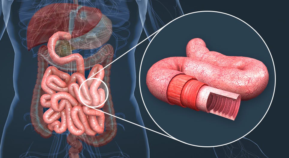 “Understanding Systemic Inflammation: Causes and Effective Strategies ...