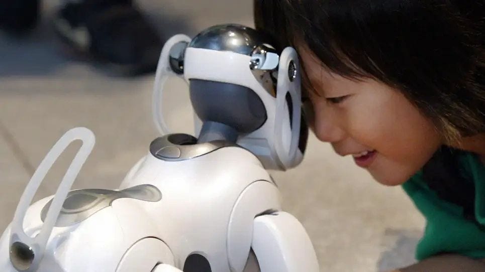 What if we have Robots as companions ? | by LAMECON techhub | Sep, 2023 ...