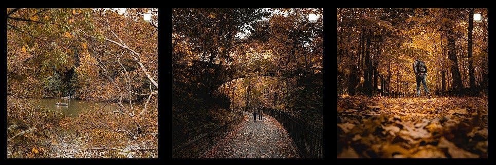 WHAT IS YOUR PHOTOGRAPHIC STYLE AND HOW TO FIND AND CULTIVATE IT. | by ...