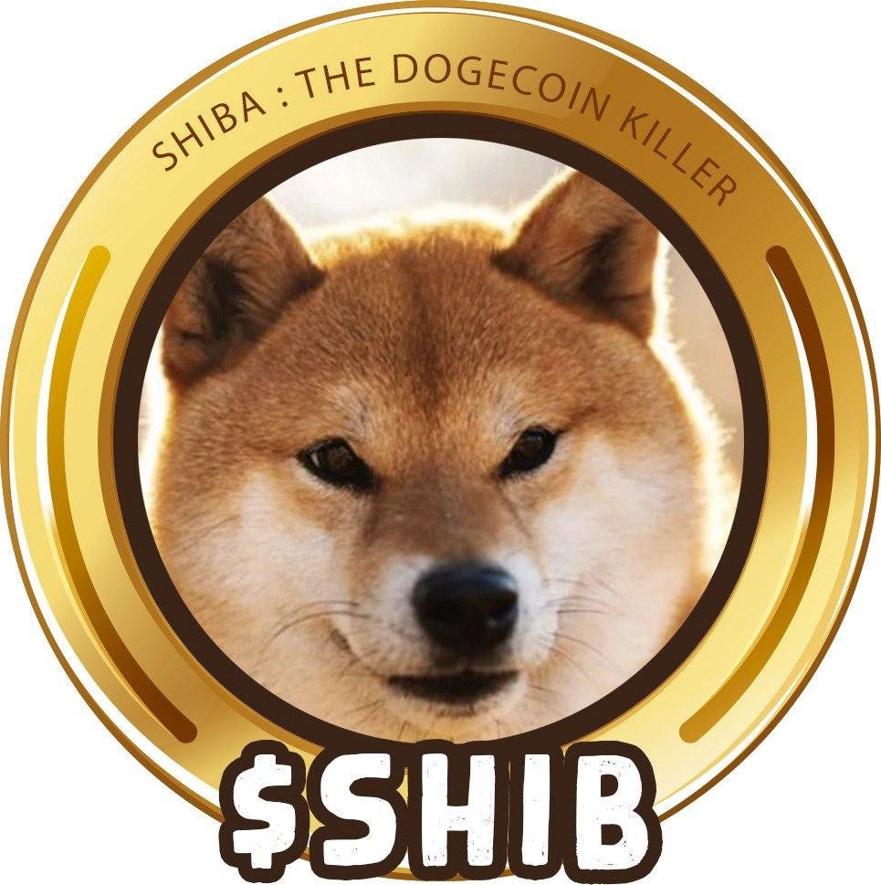 HERKES!! SHIBA’YI SELAMLAYIN! (merkeziyetsizlikte bir deney) | by ...