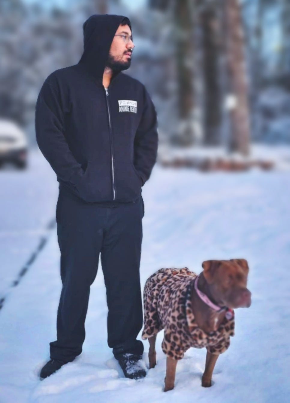 It’s Snowing in the South Ya’ll. The excitement is overwhelming | by ...
