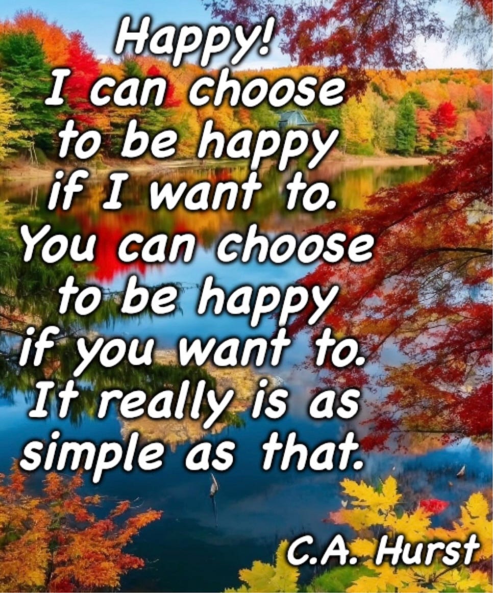 Happy! - C. A. Hurst - Medium