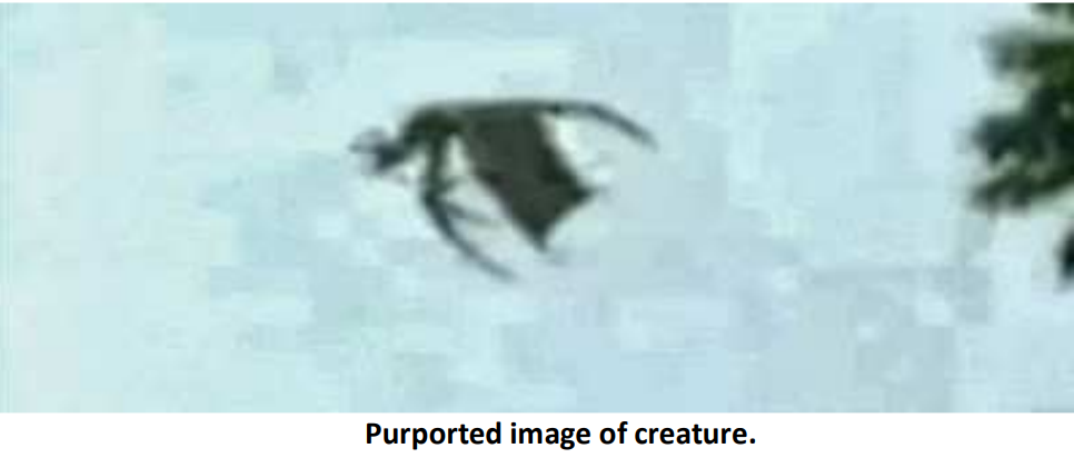Flying Manta Ray Creature Seen and Photographed | by Johnmooner-chief ...