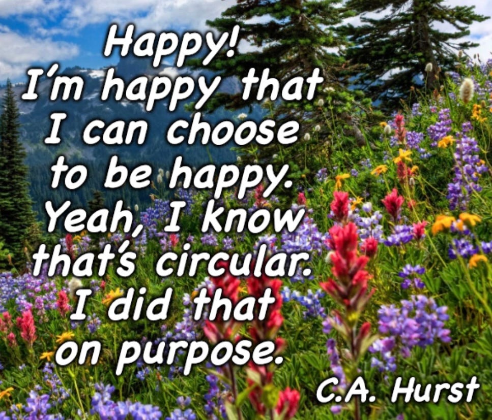 Happy! - C. A. Hurst - Medium