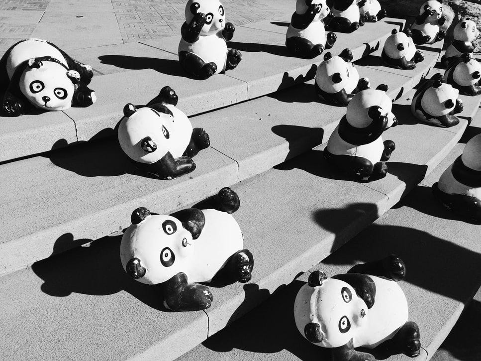 Getting Started With Pandas In Python By Lance Watanabe Dont Leave Me Out In The Code Medium 5865