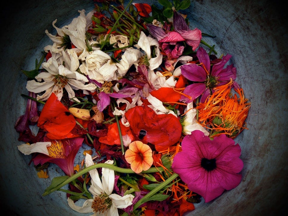Wilted Blooms - Literary Impulse - Medium