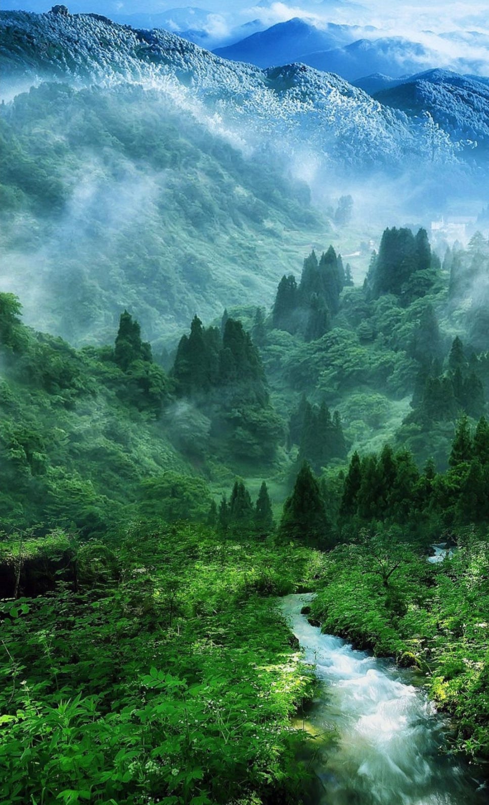 🌿🌳 IT’S ALL ABOUT NATURE 🌿🌳. Do you know the importance of nature ...