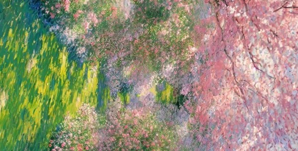 Exotic Escape | by Anisha Reneè | Jun, 2024 | Medium