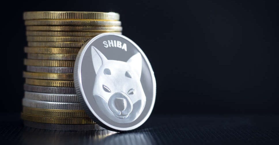 Shibarium launches with one million wallets despite slump in Shiba Inu ...