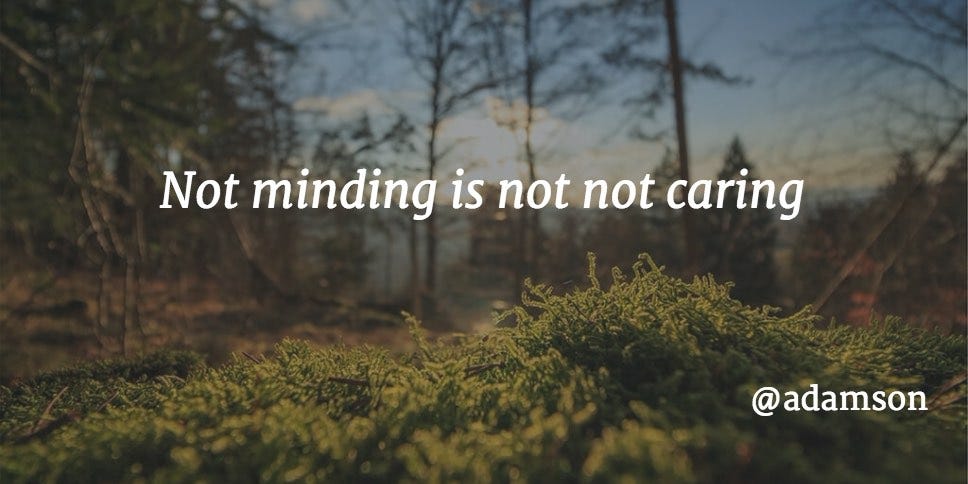 Not Minding Leads to Confidence, Not Caring to Disengagement and ...
