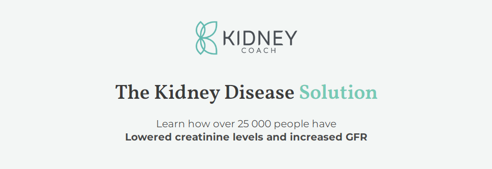 Kidney Solution Digital. Our holistic approach to dealing with… | by ...