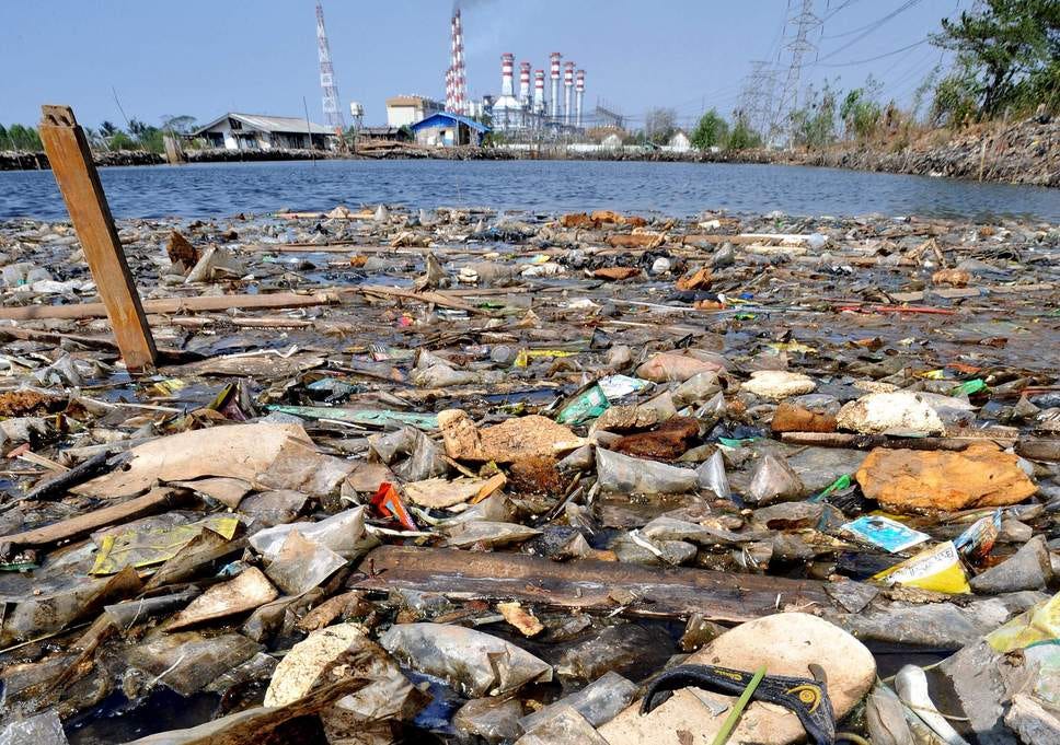 Denying a “Sustainable” Future. We know that the Earth is getting… | by ...