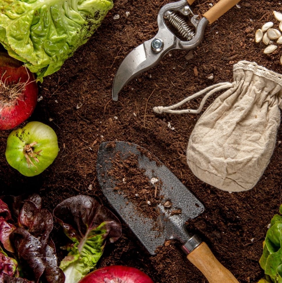 Empowering Sustainability. The Benefits of Growing Your Own Food | by Krysta Williams | Step 2 ...