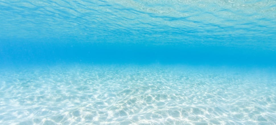 Capitalism is the Water Through Which We Swim | by Charlie the Faerie ...