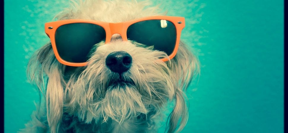 7 Unicorn Instagram Business Accounts You Should Take a Closer Look At ...