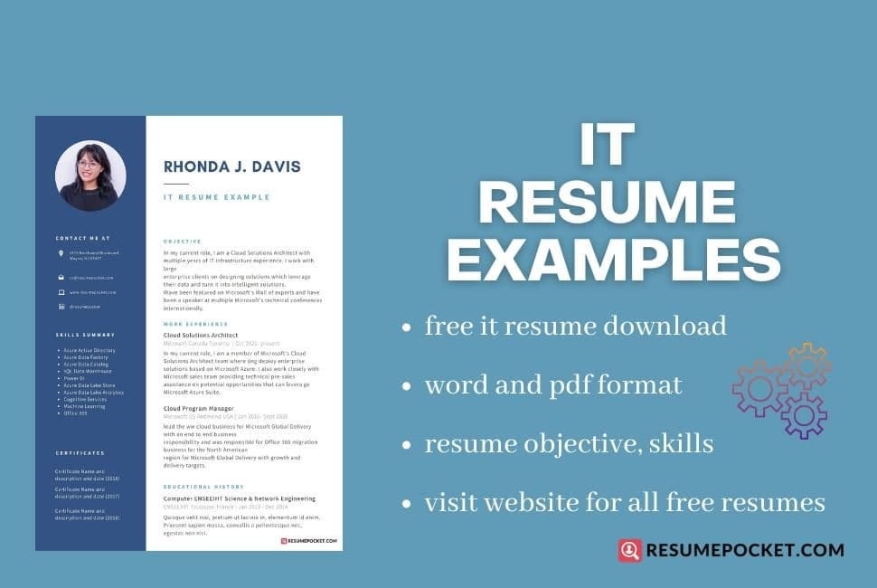 IT Manager Resume Example(Customizable) | Free MS Word and PDF Format ...