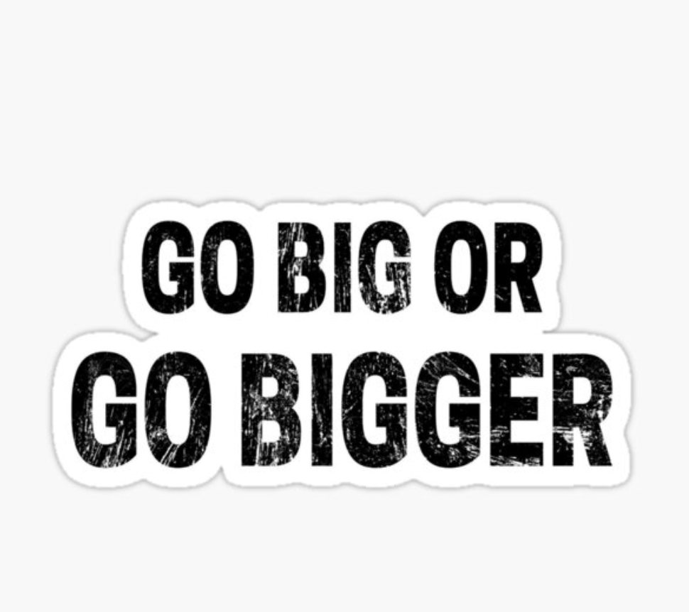 Go big or go bigger 🚀. There’s no point doing this to be… | by Tarak ...