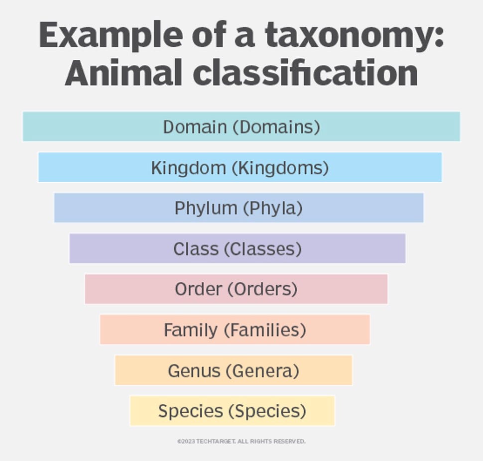 Dispel the Mist: What is Taxonomy in Information Architecture Design ...