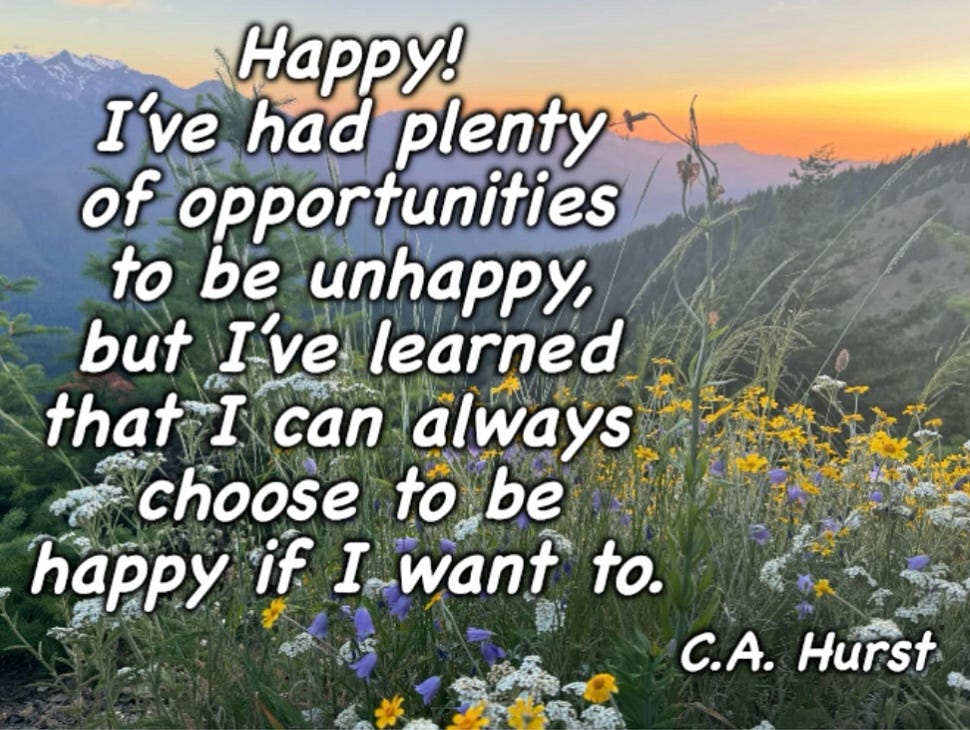 Happy! - C. A. Hurst - Medium