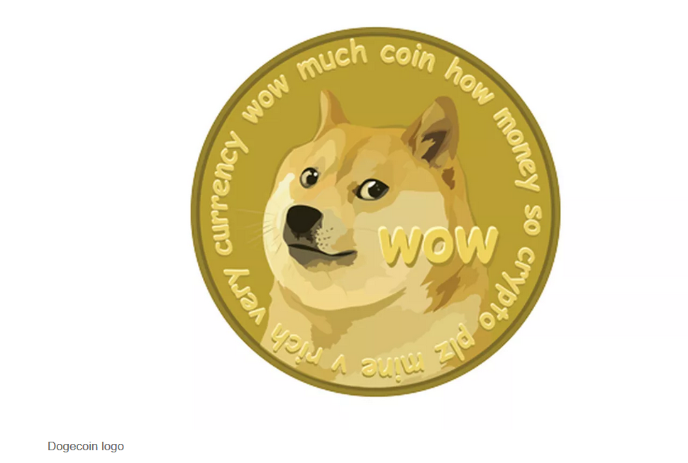 Everything You Wanted to Know About Doggie Coin | by ATrigueiro ...