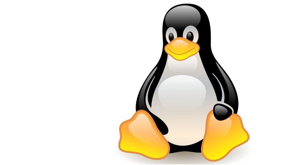 Discover Freedom with Linux: Welcome to the Open Source World | by ömer ...